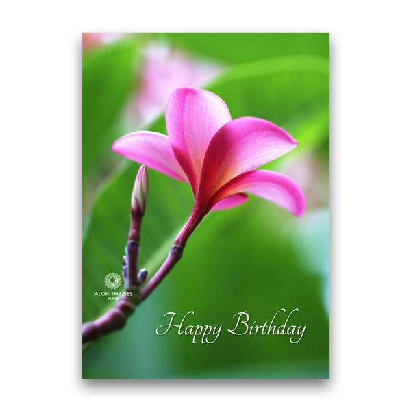 Pua Melia (Single Plumeria) Birthday Greeting Card - The Mākeke